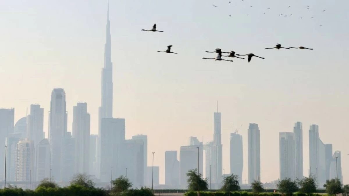 UAE weather: Strong winds bring dust as temperatures fall slightly ...